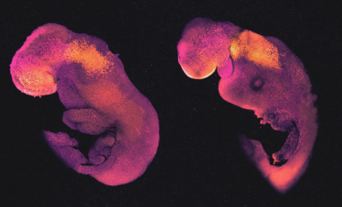 Könyves Magazin - Könyajánló - Könyv kritika